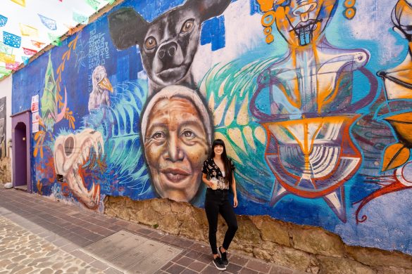 Sambadrome Guide: Everything You Need to Know About Rio’s Carnival ...